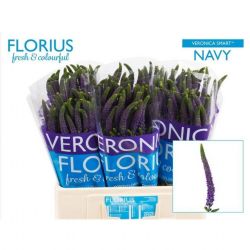 İthal Veronica Smart Navy (25 Dal-60 cm) | Yerli Garnitür ve ...