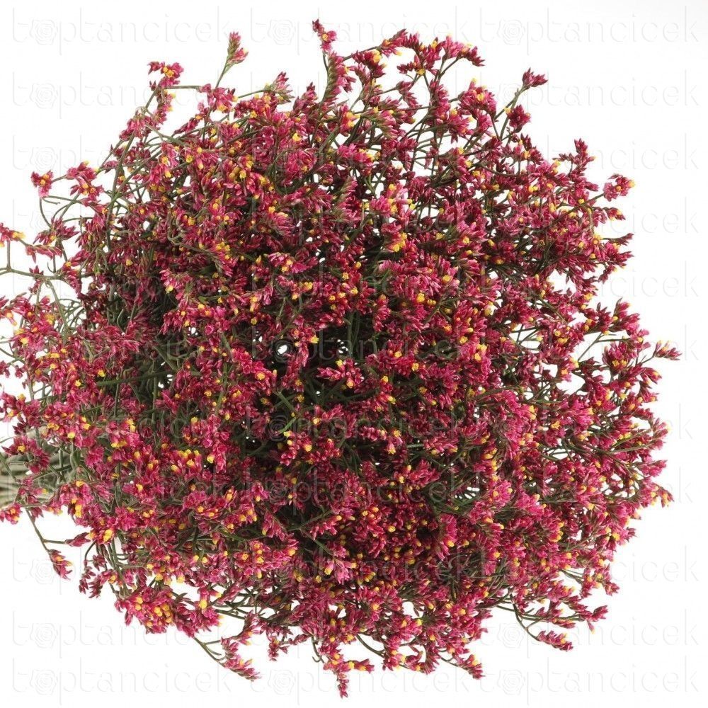 Gar Limonium China Red (İthal-25 dal-60 cm) | İthal Garnitür ve ...